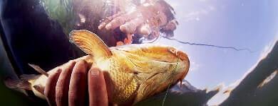 Specialist Insurance Cover from Ripe Insurance